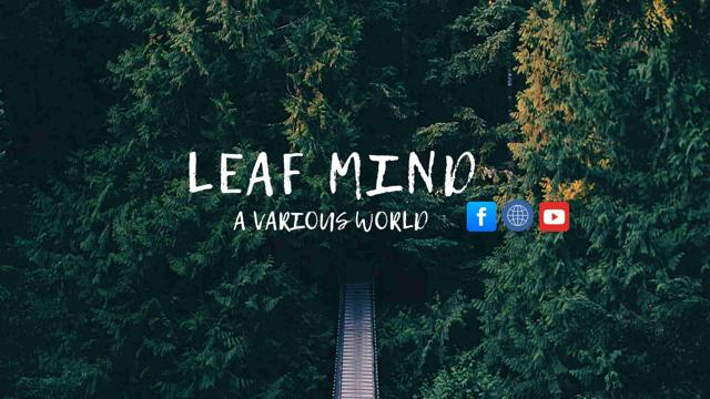 Leaf Mind